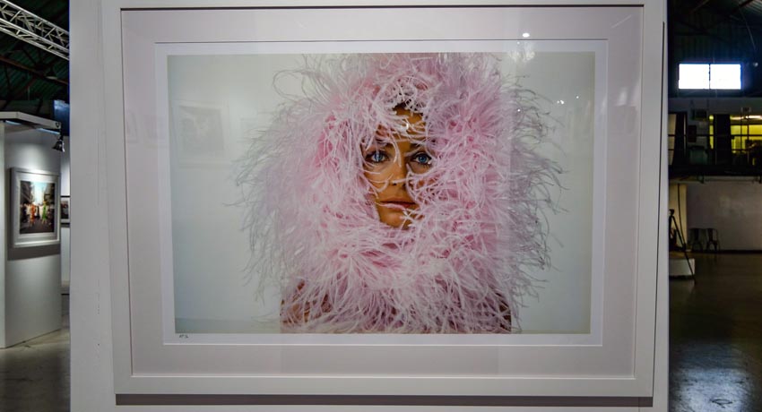 Pop Art Photo Show Pop Art Photo Show